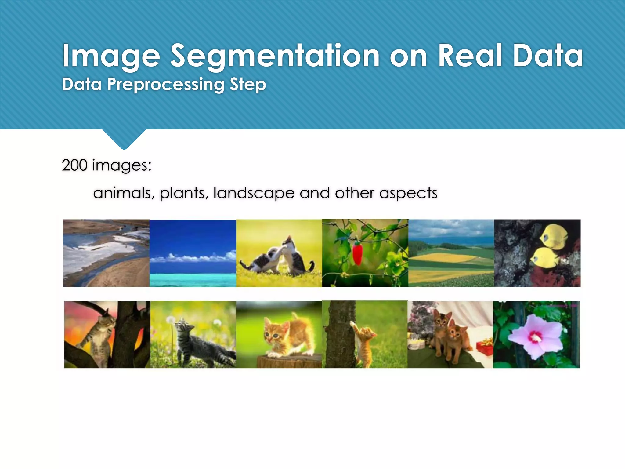 Region-based Semi-supervised Clustering Image Segmentation | PDF | Computing | Technology ...