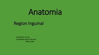 Region inguinal | PPTX
