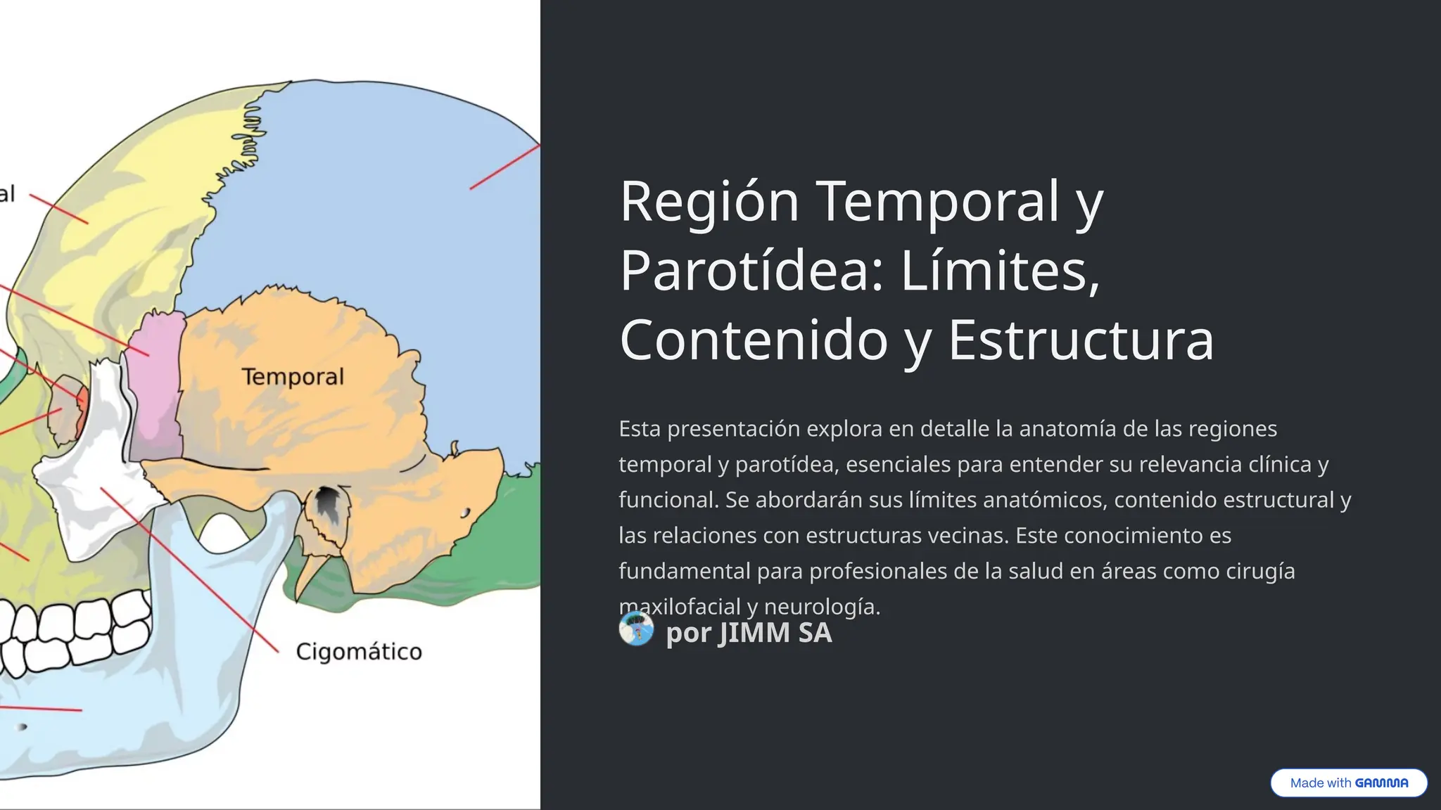 Region-Temporal-y-Parotidea-Limites-Contenido-y-Estructura.pptx