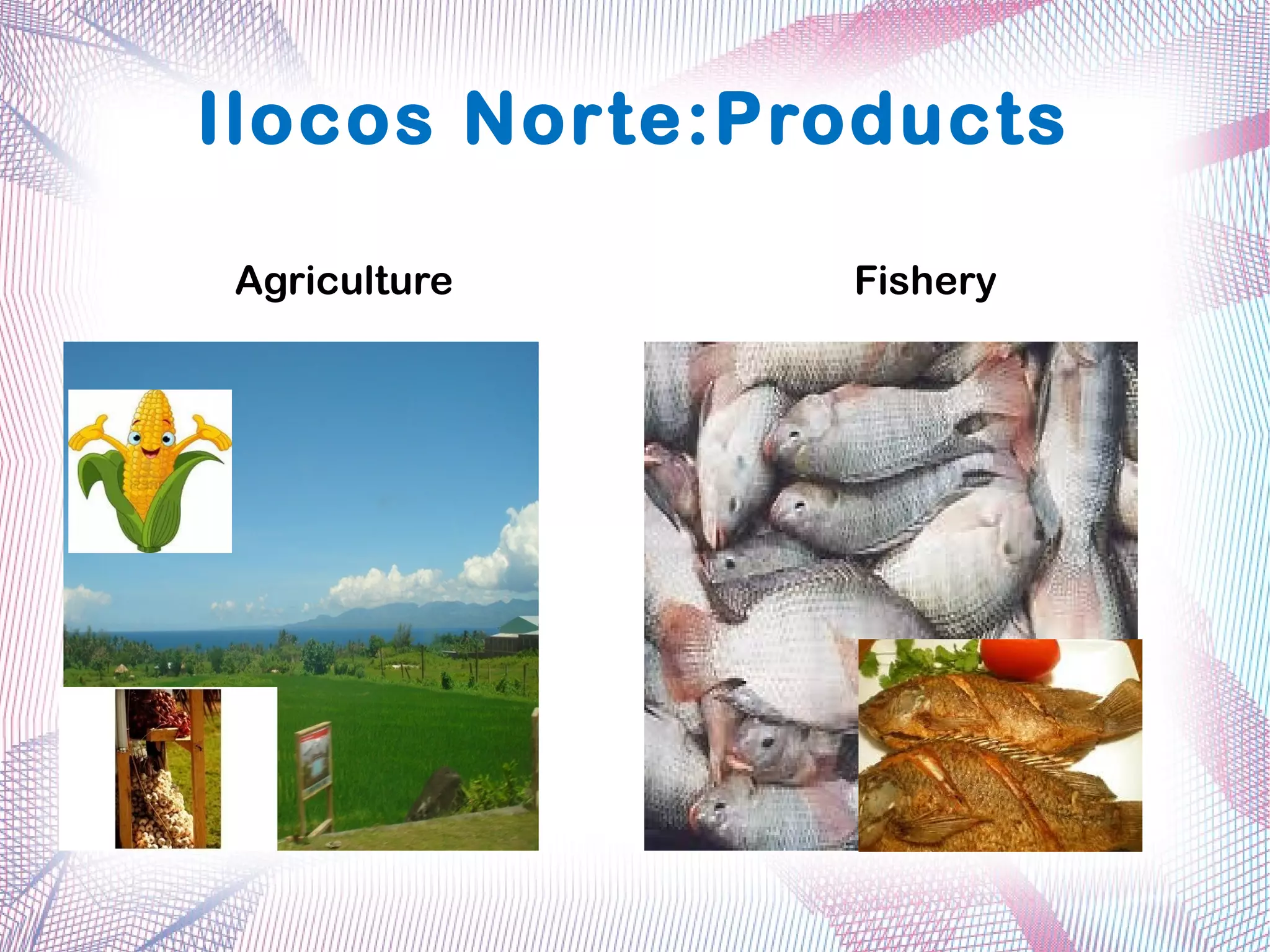 Region 1 of the Philippines (ilocos) | PPT