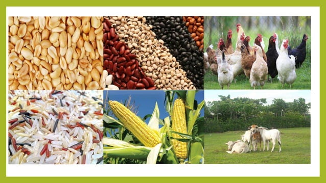 Region 2 cagayan valley