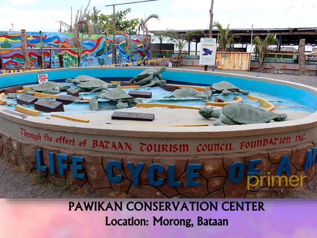 Region 3- Central Luzon | PPTX | South America Travel | Travel Locations