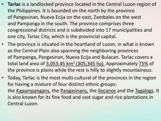 Region 3- Central Luzon | PPTX