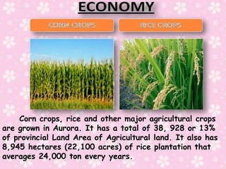 Region 3- Central Luzon | PPTX