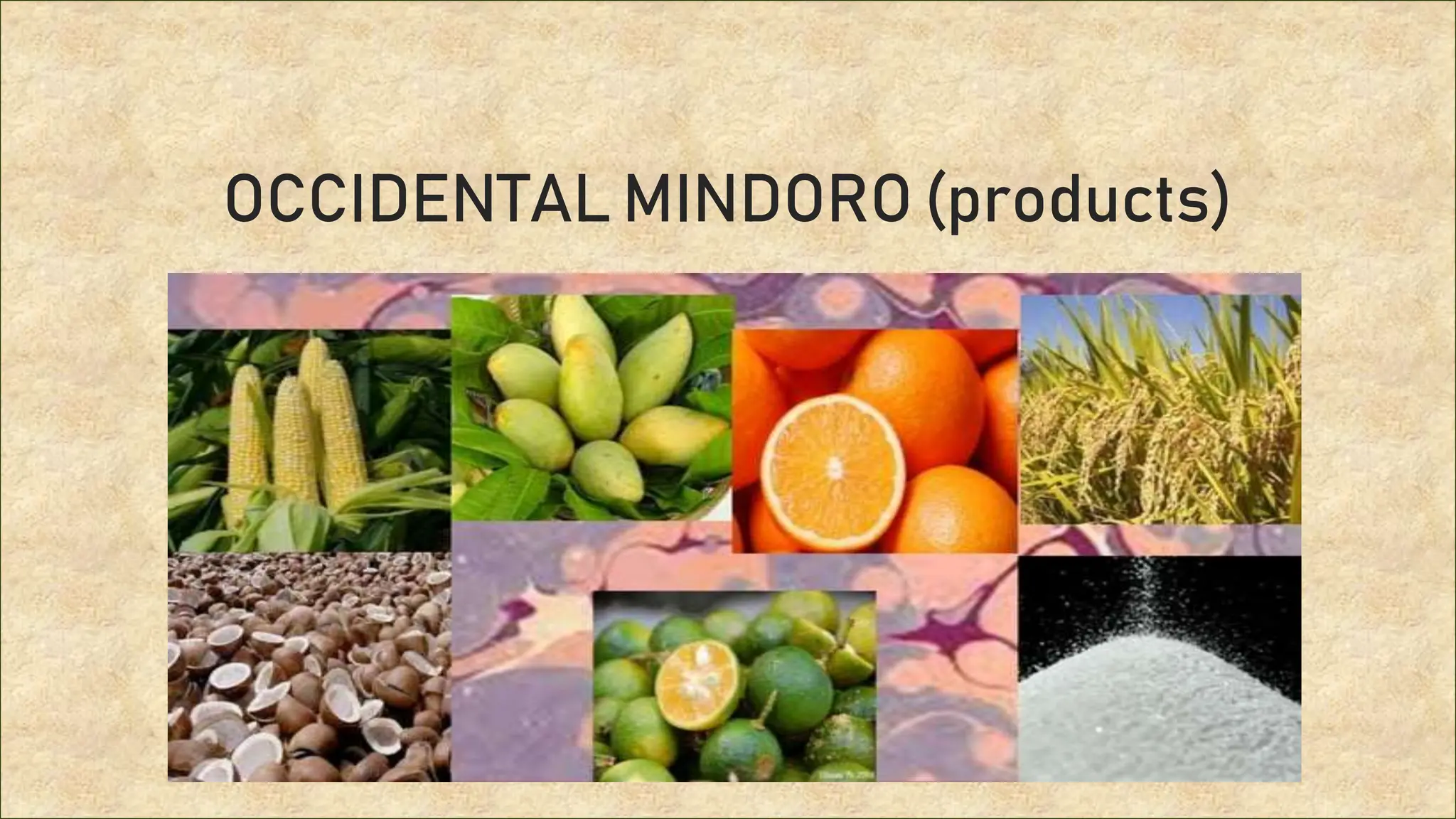 Region 4-B - MIMAROPA CAPITAL AND PROVINCES | PPTX