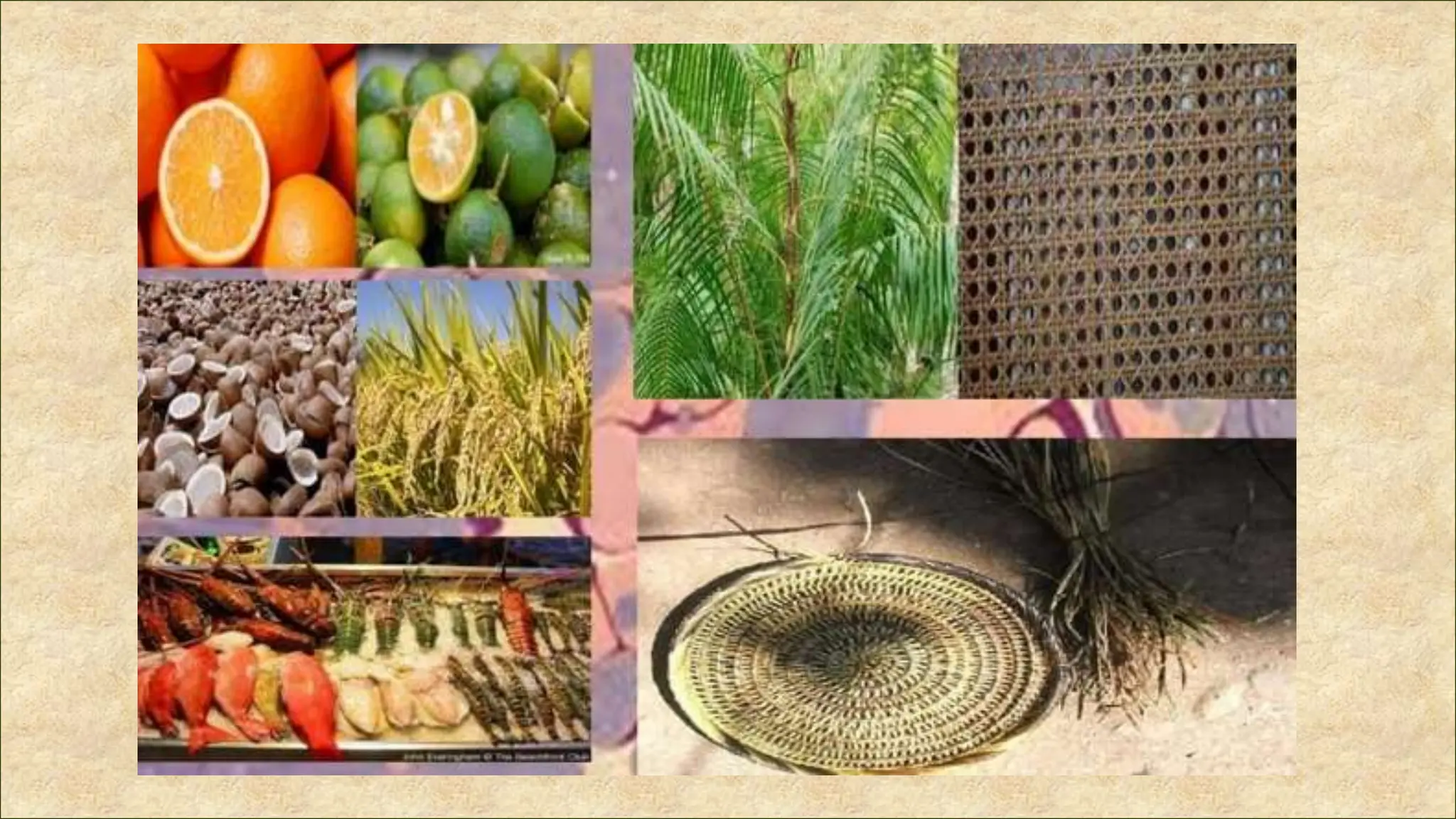 Region 4-B - MIMAROPA CAPITAL AND PROVINCES | PPTX