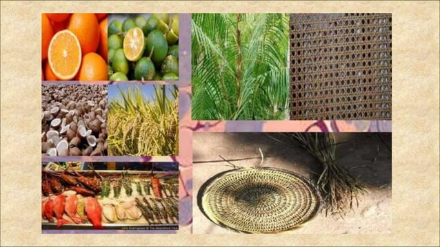 Region 4-B - MIMAROPA CAPITAL AND PROVINCES | PPTX