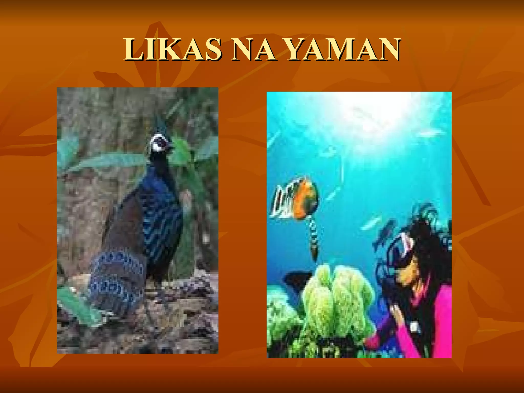 Region 6 kanlurang visayas | PPT