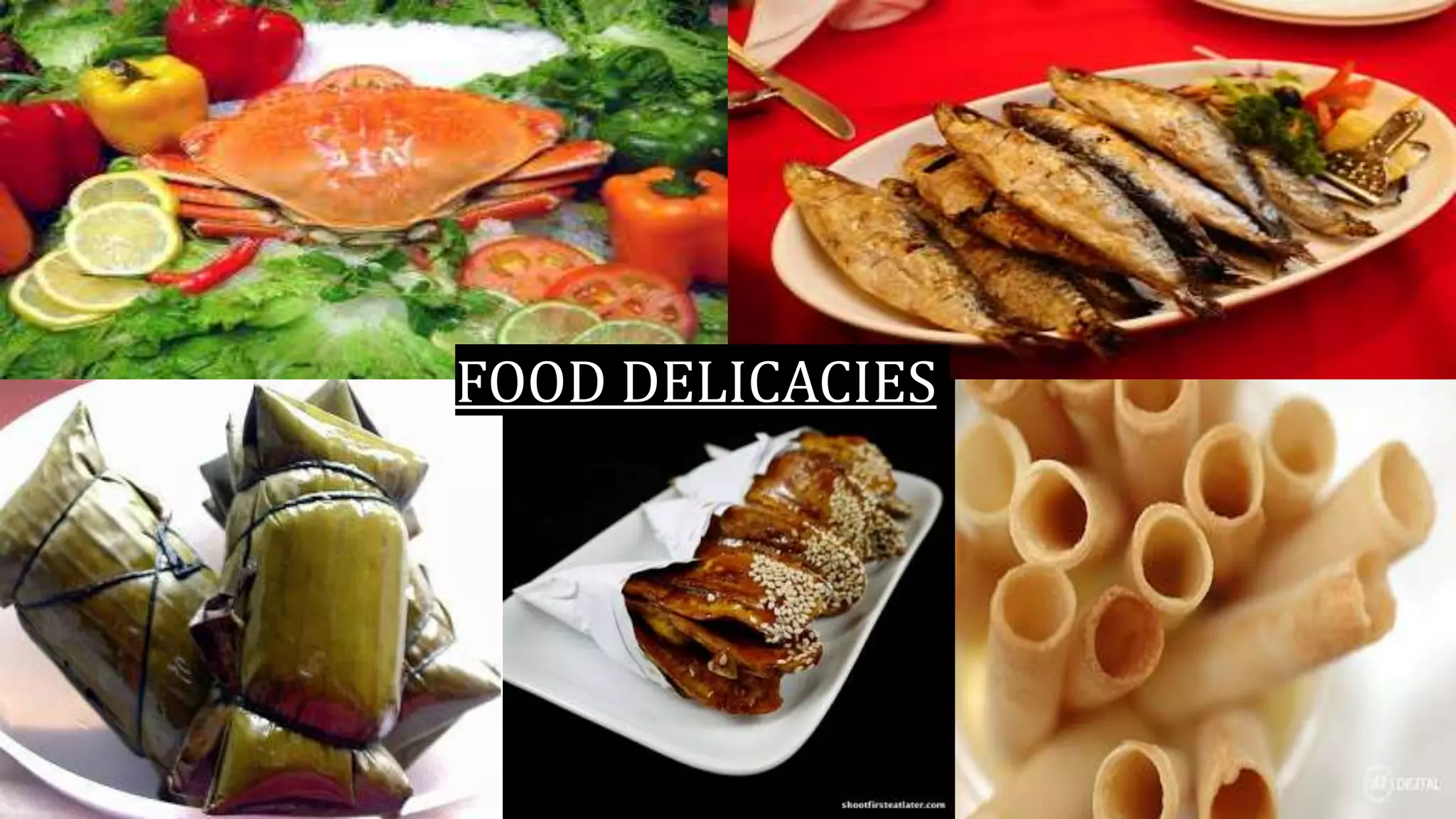 Region 6 Basic Geography | PPTX