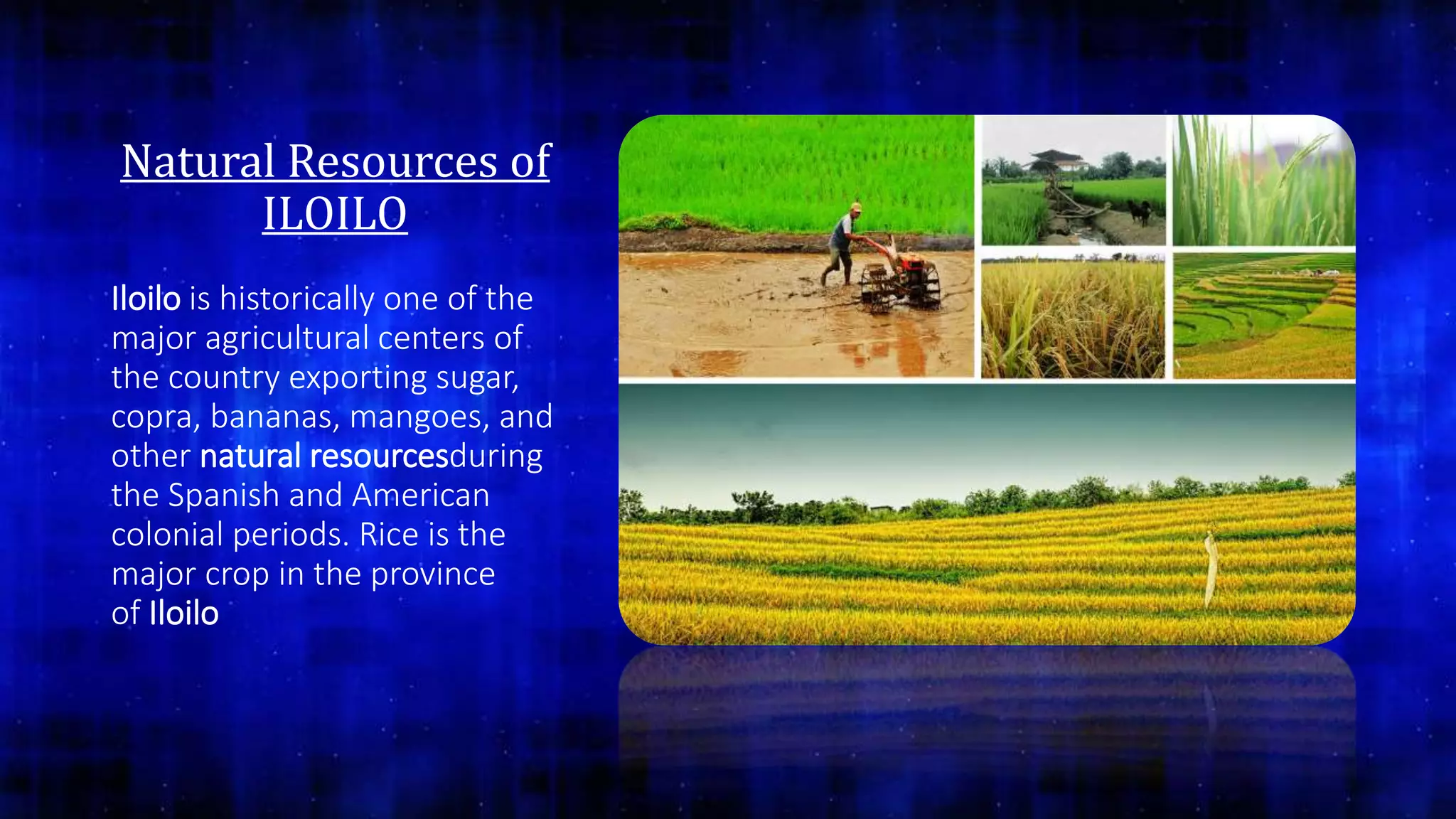 Region 6 Basic Geography | PPTX