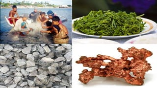 Region 6 Basic Geography | PPTX