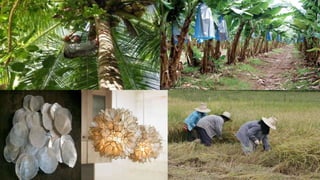 Region 6 Basic Geography | PPTX