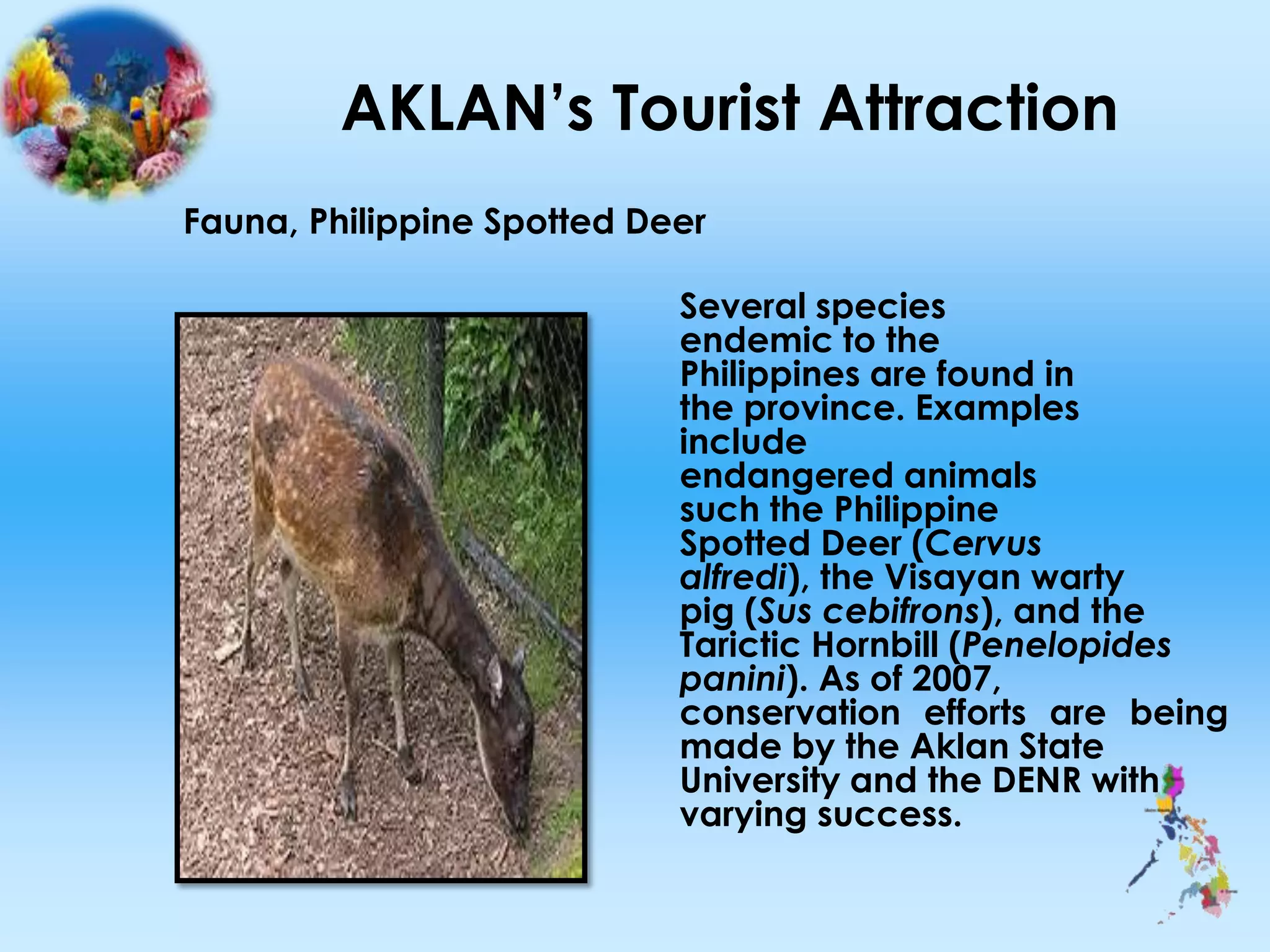 Region 6 Western Visayas, Philippines | PPTX