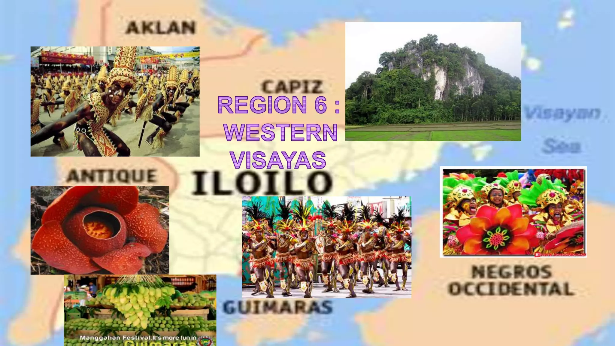 REGION_6_WESTERN_VISAYAS_23.pptx