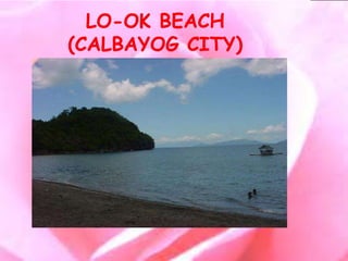 Region 8....for brief reporting | PPTX | Geology | Science