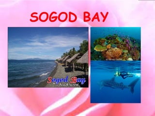 Region 8....for brief reporting | PPTX | Geology | Science