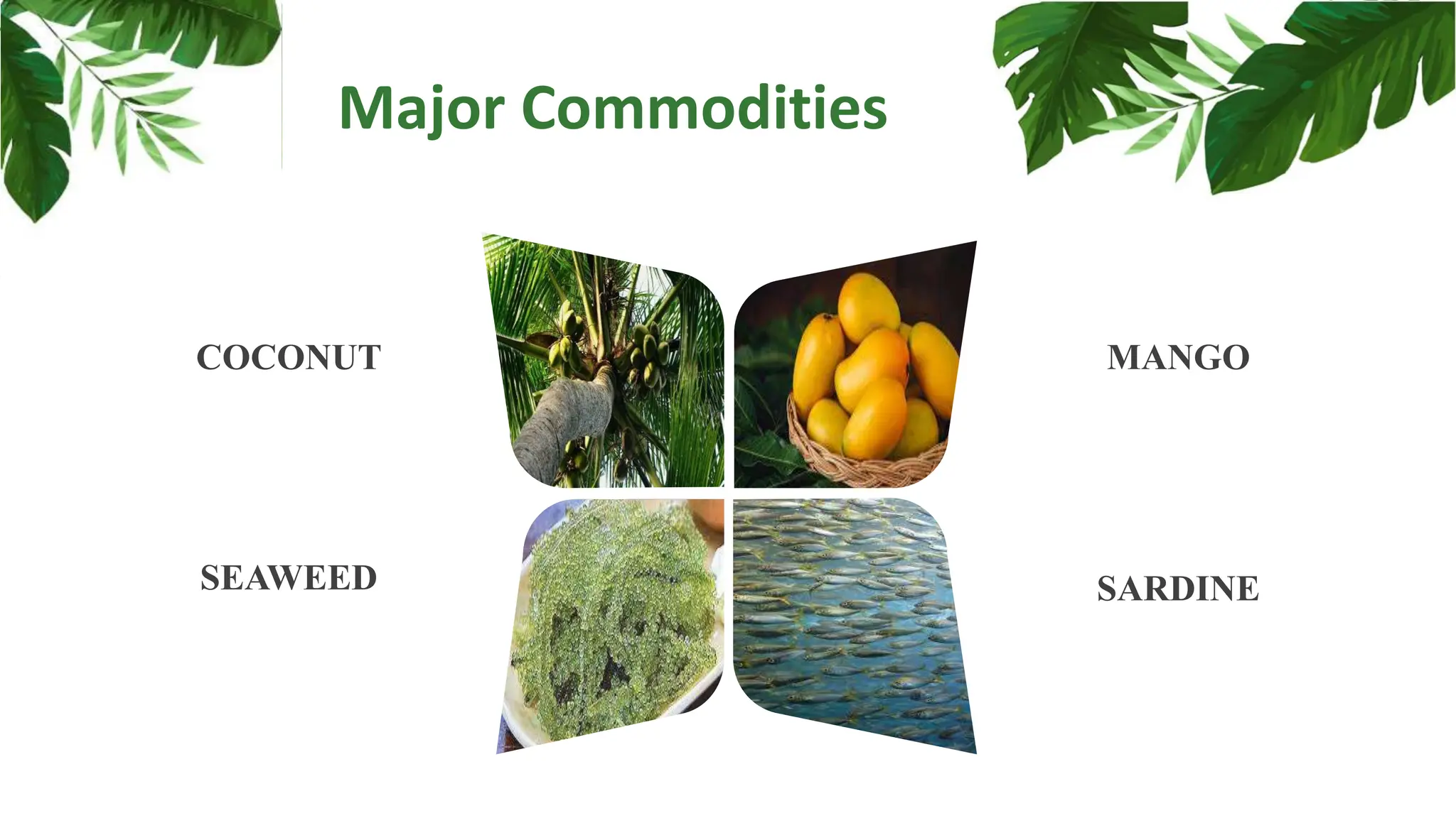 Region 9 Zamboanga Peninsula CROP SCIENCE REPORT.pptx
