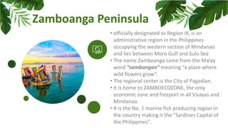 Region 9 Zamboanga Peninsula CROP SCIENCE REPORT.pptx
