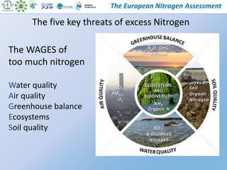 Regional nitrogen assessments and implications for aquatic systems ...