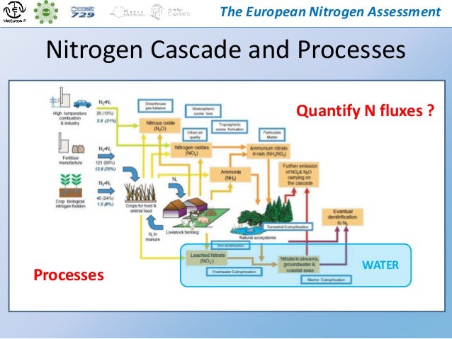 Regional nitrogen assessments and implications for aquatic systems: E…