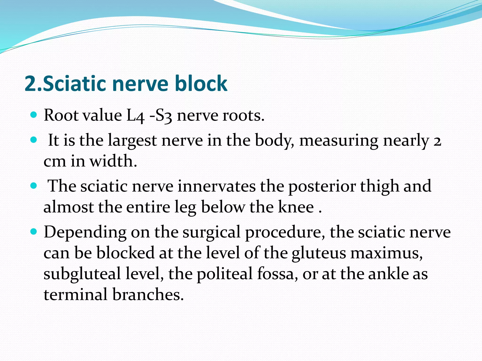 Regional anaesthesia lower limb blocks | PPTX