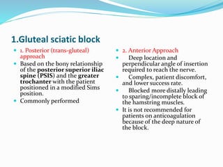Regional anaesthesia lower limb blocks | PPTX