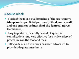 Regional anaesthesia lower limb blocks | PPTX