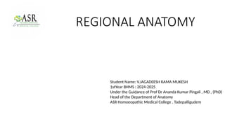 Regional anatomy ppt presentation by v.jagadeesh Rama Mukesh | PPTX