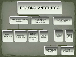 Regional anesthesia | PPT