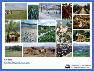 Regional approaches to climate adaption in a research context | PPT