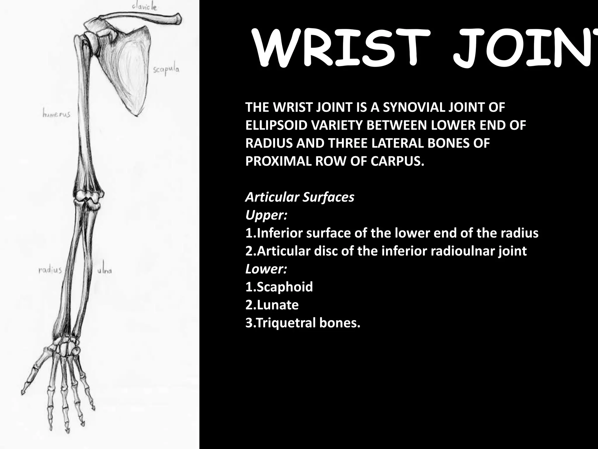 Regional conditions of upper limb | PPTX