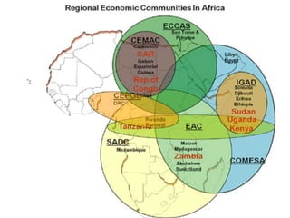 Regional economic integration in Africa | PPTX
