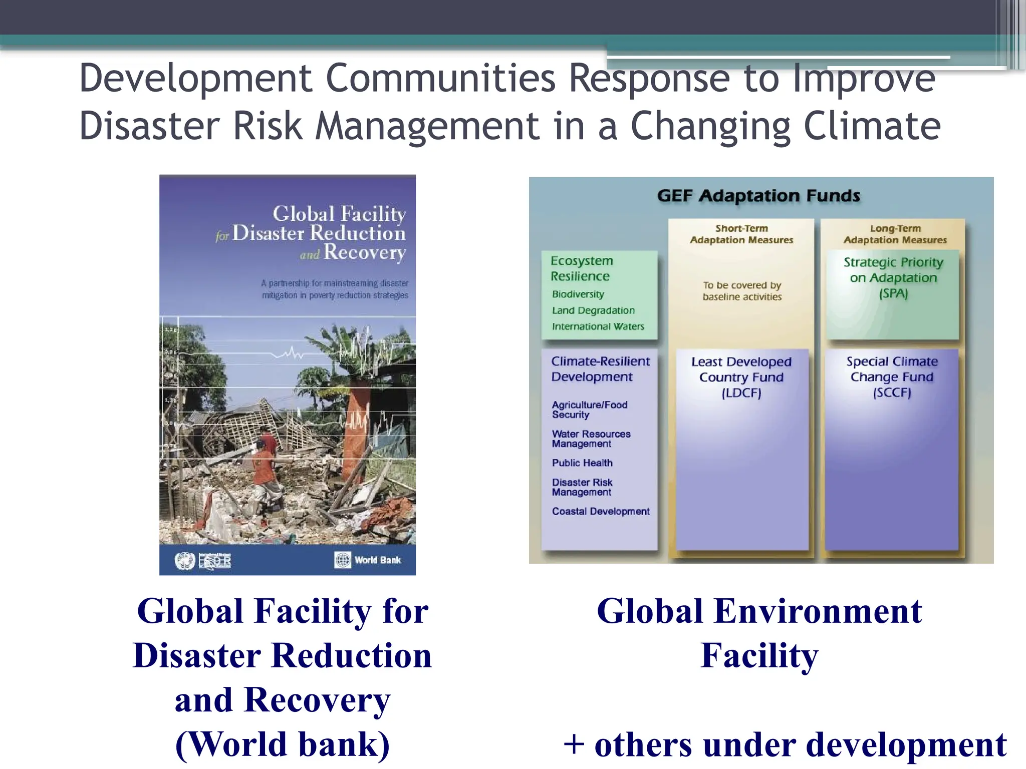 Regional Environmental Governance and Disaster Relief.pptx