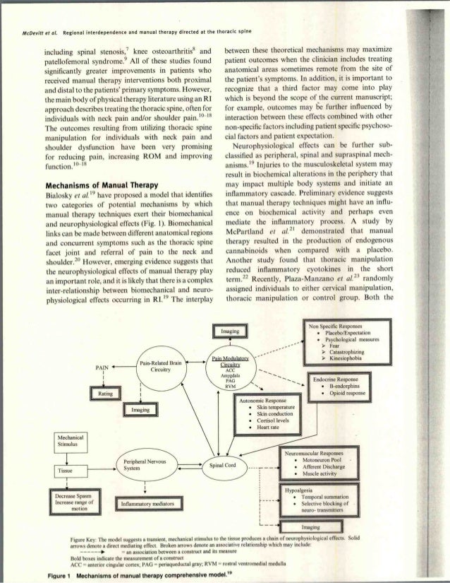 Regional interdependence and manual therapy directed at the thoracic