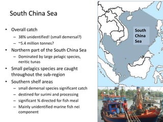 APFIC Regional overview of marine fisheries (2014) | PPTX | Fishing ...