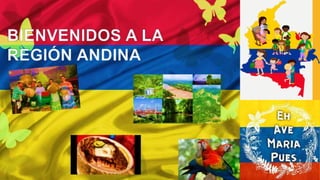 Region andina de colombia | PPTX