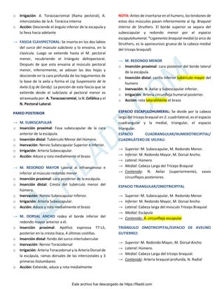 REGION AXILARBRAZO de anatomía rouviere. | PDF