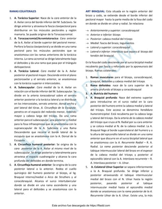 REGION AXILARBRAZO de anatomía rouviere. | PDF