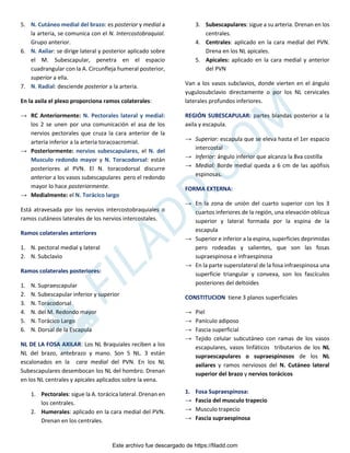 REGION AXILARBRAZO de anatomía rouviere. | PDF