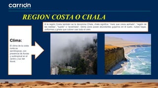REGION NATURAL PERUANA COSTA CHALA DEL LITORAL | PPTX