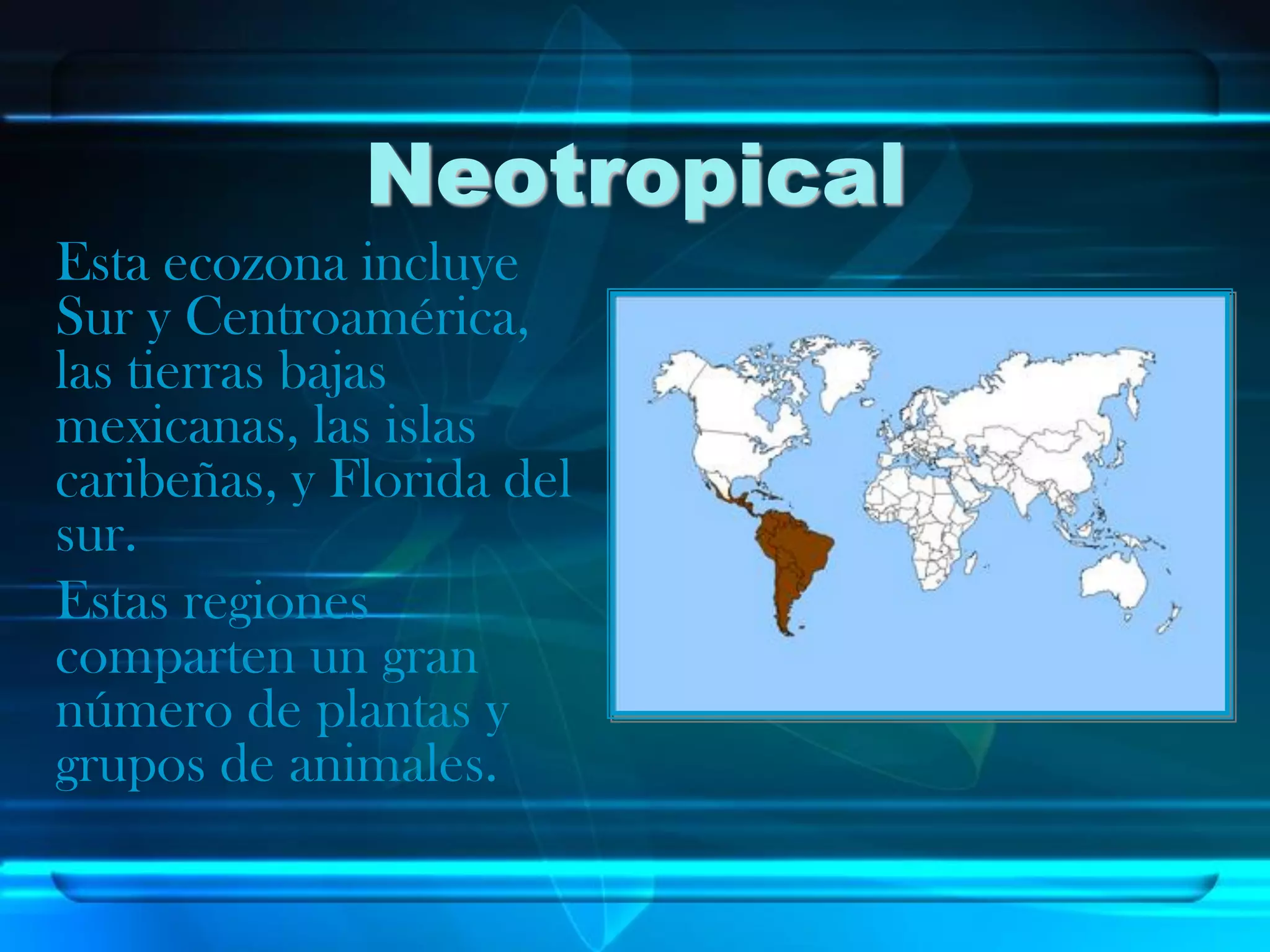 Regiones Biogeográficas del Mundo | PPT | Descarga Gratuita