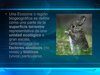 Regiones Biogeográficas del Mundo | PDF