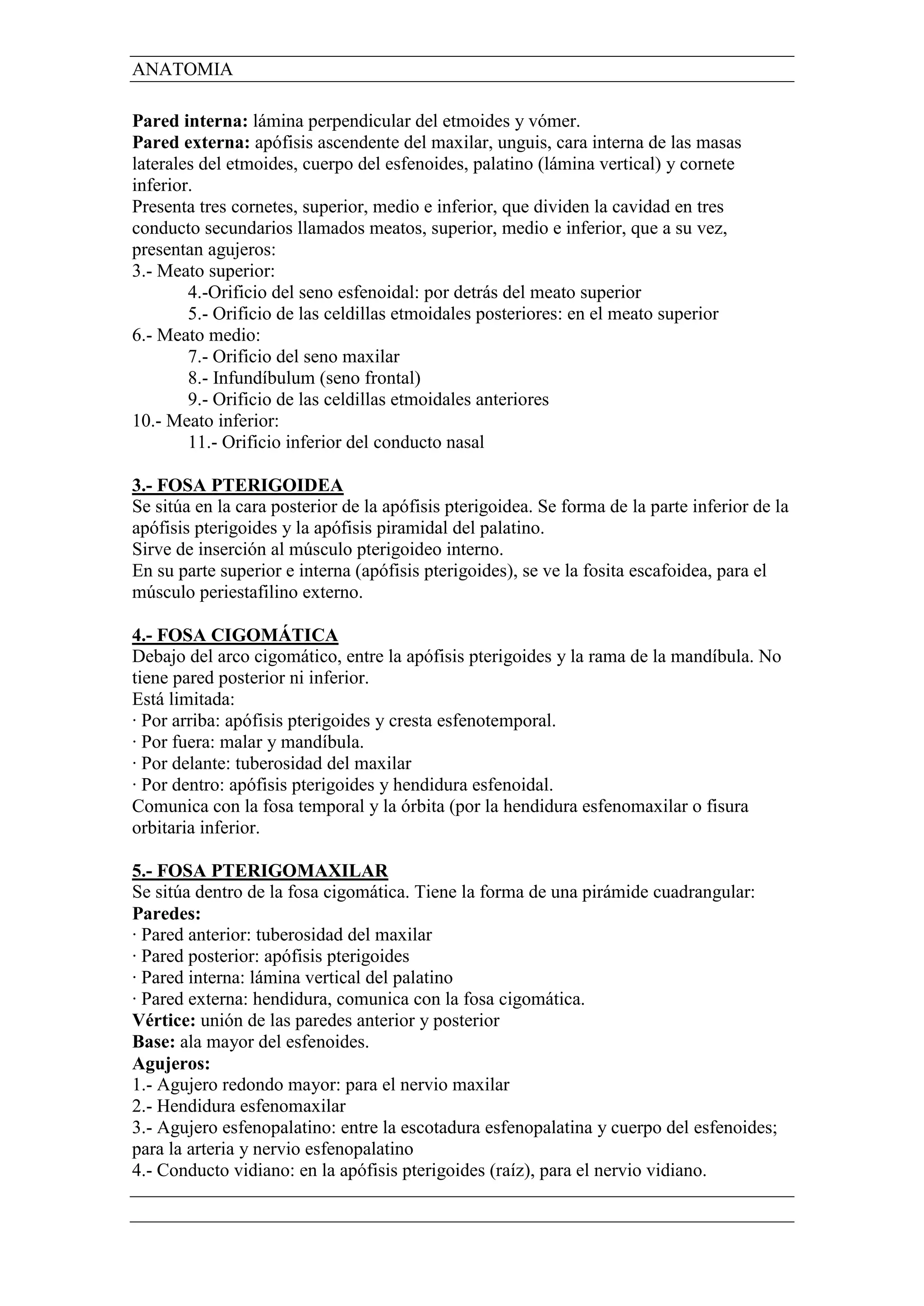 Regiones comunes al craneo y la cara | PDF