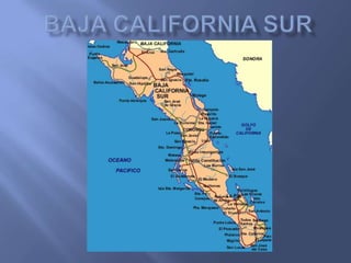 Regiones de baja california | PPTX