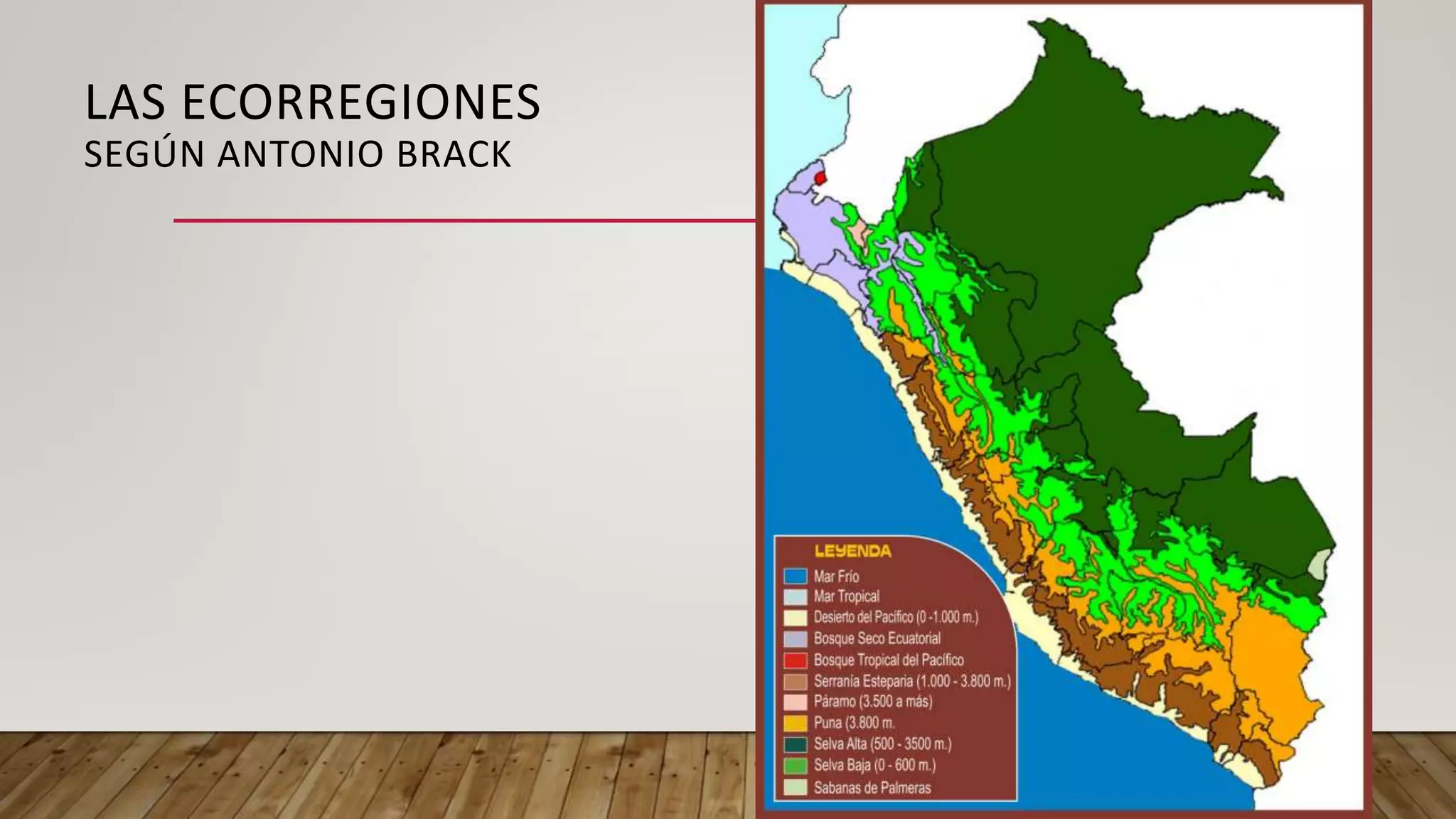Regiones del Perú | PPTX | Geography | Science