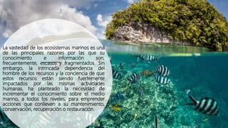 Regiones marinas prioritarias de méxico | PPTX