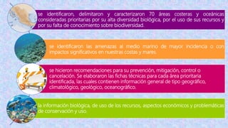 Regiones marinas prioritarias de méxico | PPTX