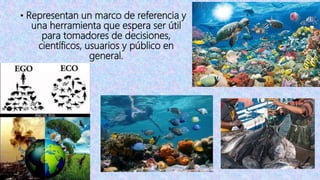 Regiones marinas prioritarias de méxico | PPTX