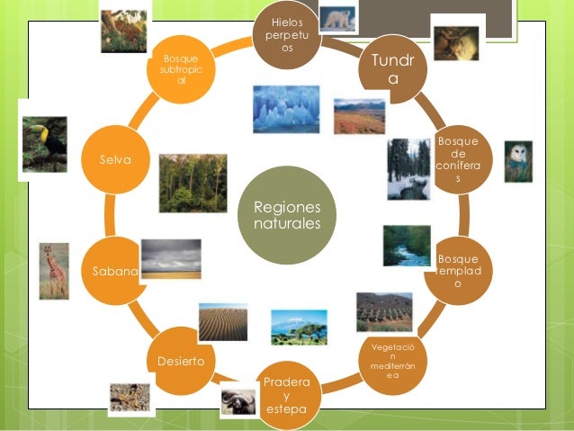 Tipos De Regiones Regiones Naturales