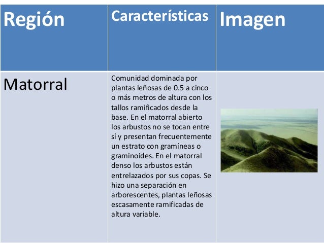 Tipos De Regiones Regiones Naturales